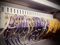 Services – Intellex Consulting Group Ltd